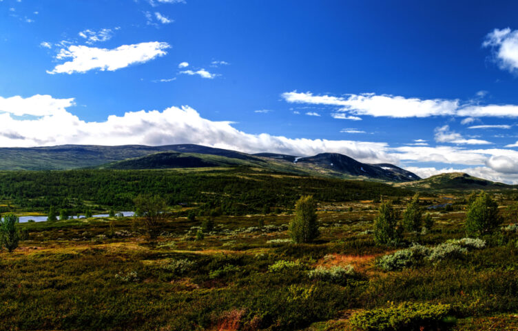 Hils på Astrid, vår nye rådgiver! - Lierne Utvikling